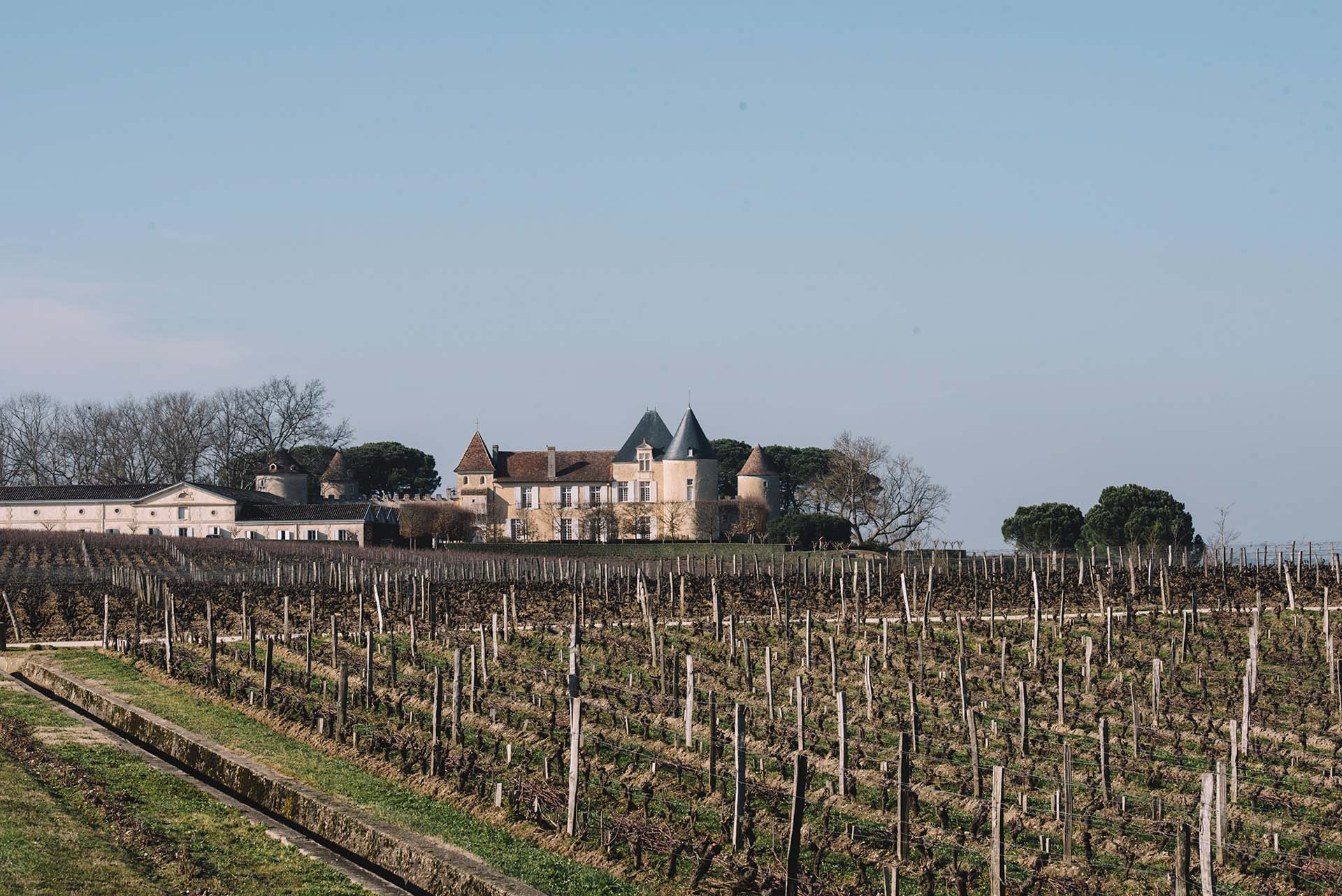 Château d’Yquem - Simonit&Sirch