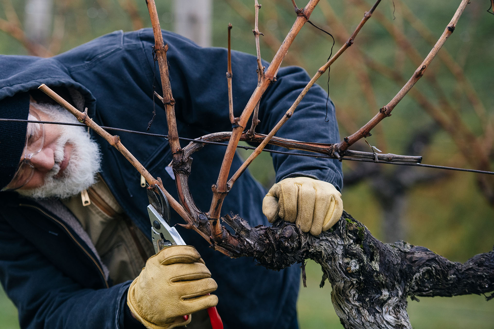 Simonit&Sirch Pruning